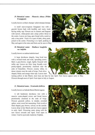 Delhi Trees Information | PDF