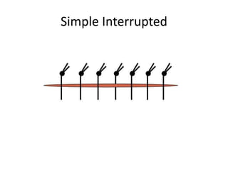 Suturing 101 - Basic Surgical Skills for Medical Students and Junior ...