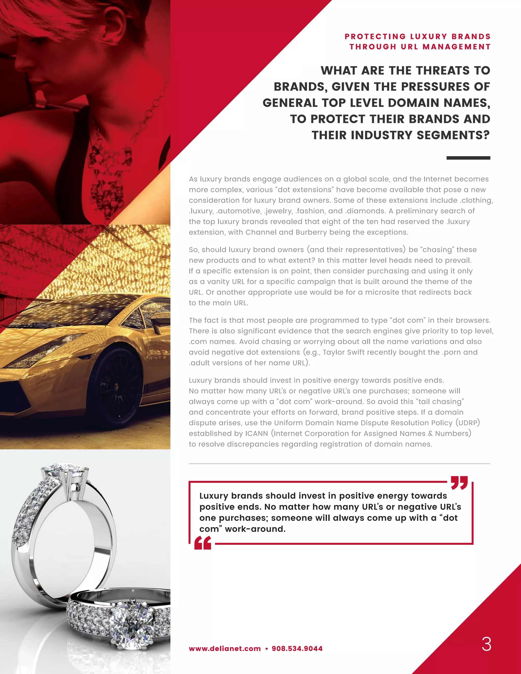 Luxury and Premium Brand Marketing Strategy | PDF