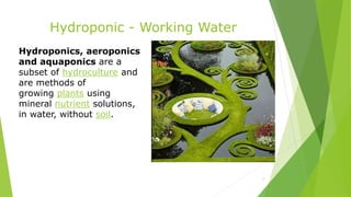 Delicious-Gardens_Intro-to-Hydro-Pop-up.pptx