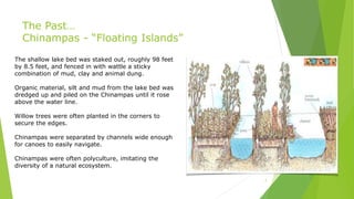 Delicious-Gardens_Intro-to-Hydro-Pop-up.pptx