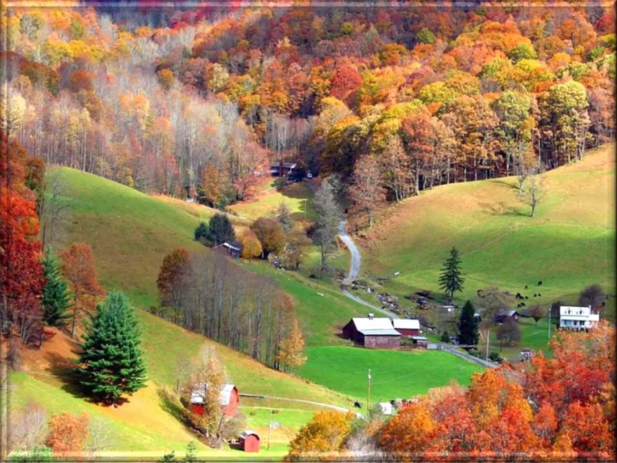 Delightful Autumn | PPTX