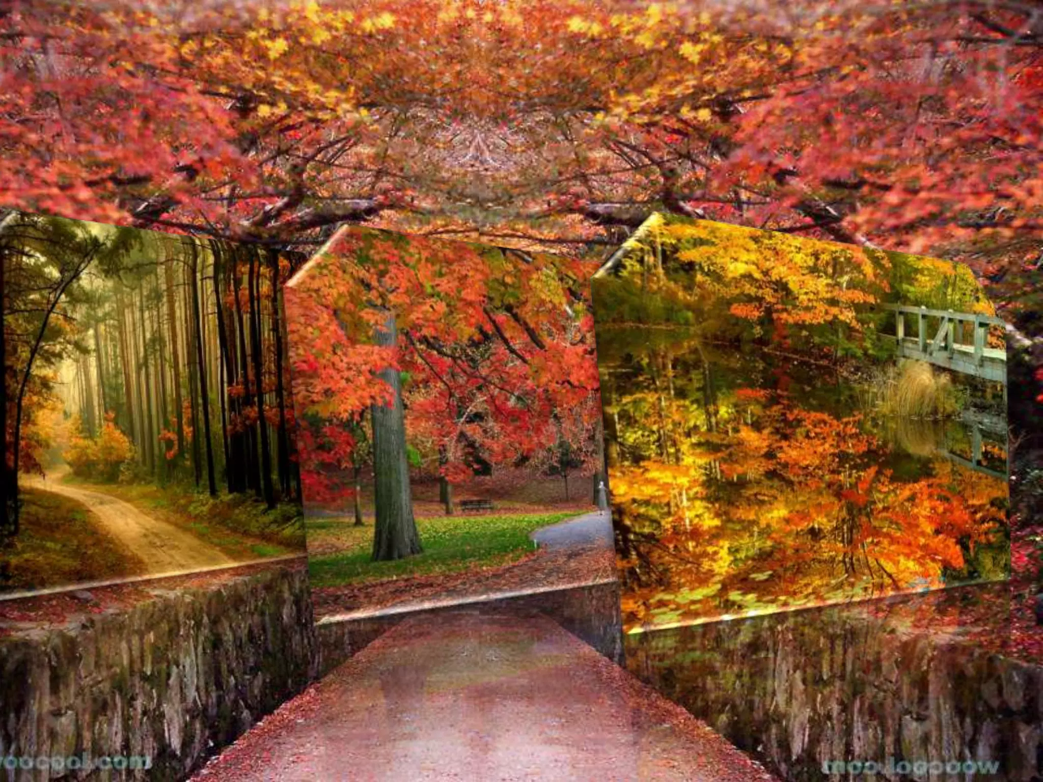 Delightful Autumn | PPTX