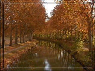 Delightful Autumn | PPTX