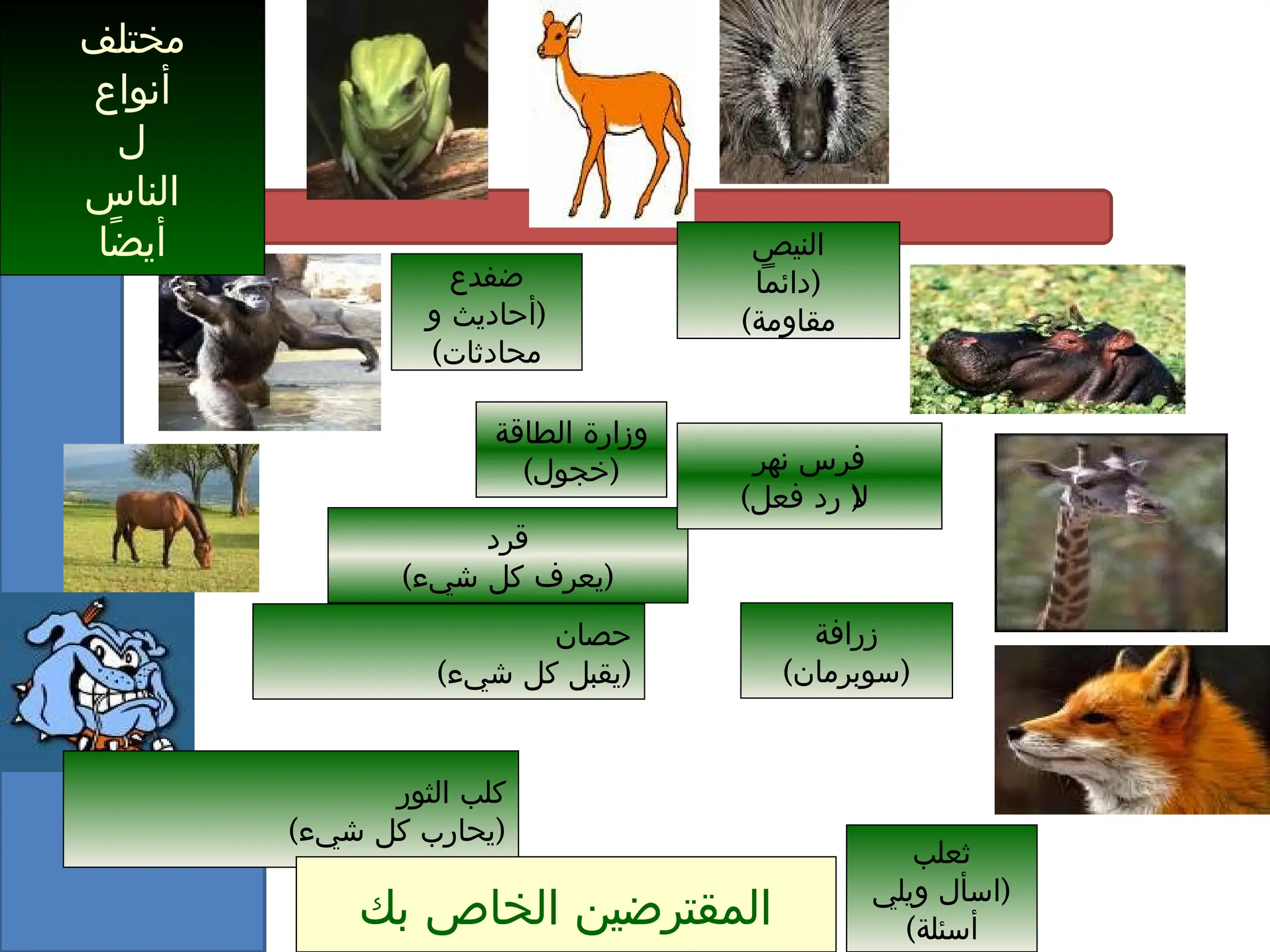 delinqufntinmfis-220201081231.en.ar.pptx