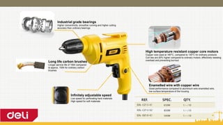 Deli Power Tools Training for my customers | PPT