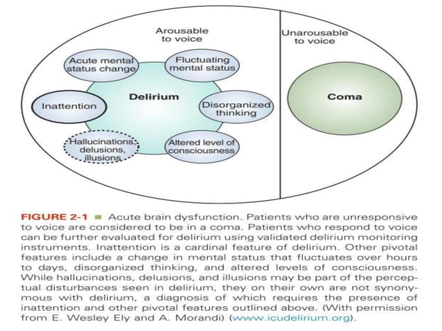 Delirium | PPTX | Brain and Nervous System Disorders | Diseases and ...