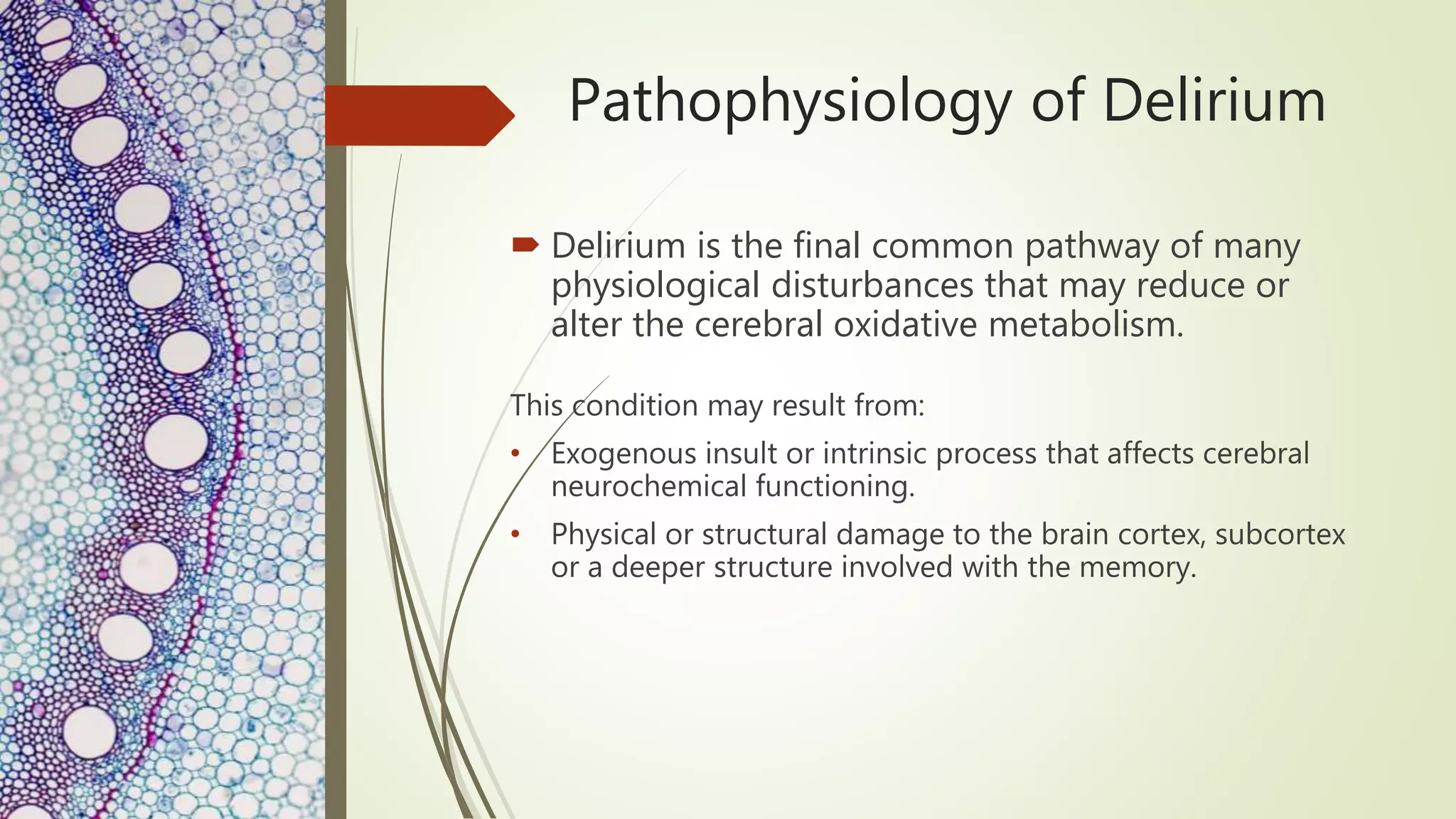 Acute Confessional State “Delirium” | PPTX