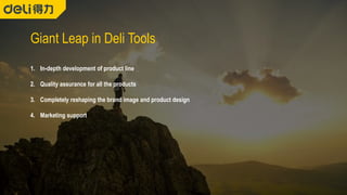 Deli Tools Company Introduction.pptx