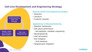Delivering More Efficient Therapeutic Protein Expression Systems ...