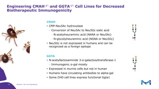 Delivering More Efficient Therapeutic Protein Expression Systems ...