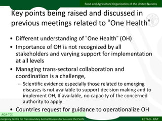 Delivering one health Asia/ASEAN | PPT | Diseases and Conditions ...