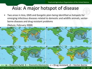 Delivering one health Asia/ASEAN | PPT | Diseases and Conditions ...
