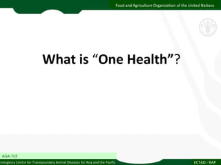 Delivering one health Asia/ASEAN | PPT | Diseases and Conditions ...