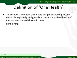 Delivering one health Asia/ASEAN | PPT | Diseases and Conditions ...