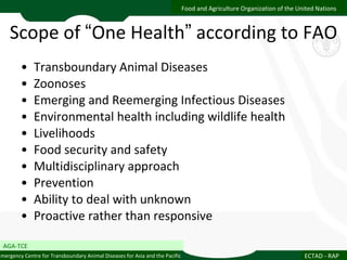 Delivering one health Asia/ASEAN | PPT | Diseases and Conditions ...