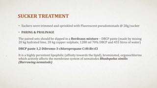 DELIVERY SYSTEM IN BIOCONTROL AGENTS.pptx