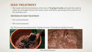 DELIVERY SYSTEM IN BIOCONTROL AGENTS.pptx