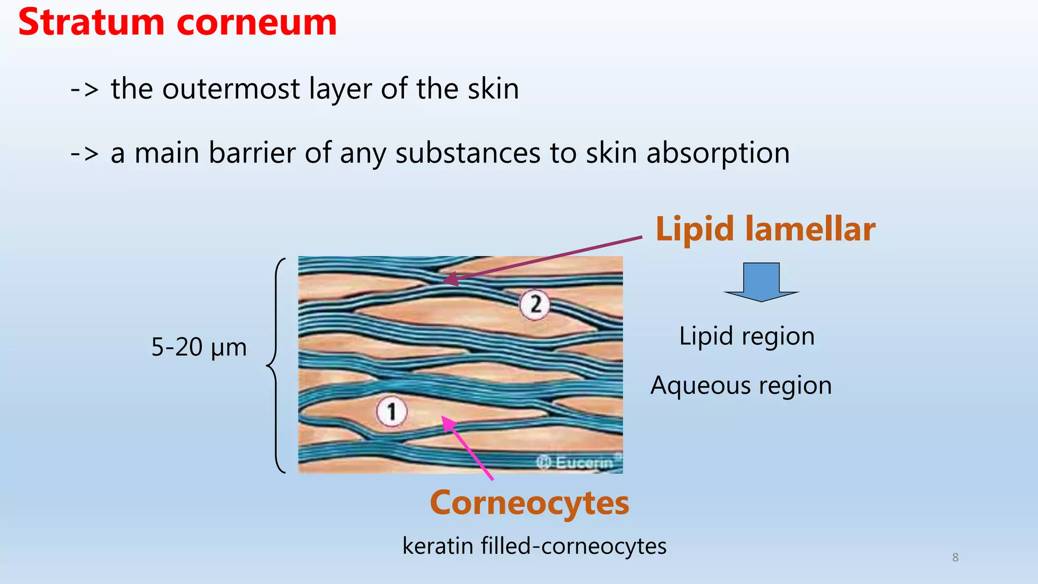 Delivery system in cosmetics | PPTX