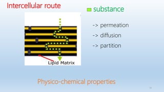 Delivery system in cosmetics | PPTX | Skin and Dermatology | Diseases ...