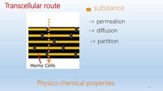 Delivery system in cosmetics | PPTX