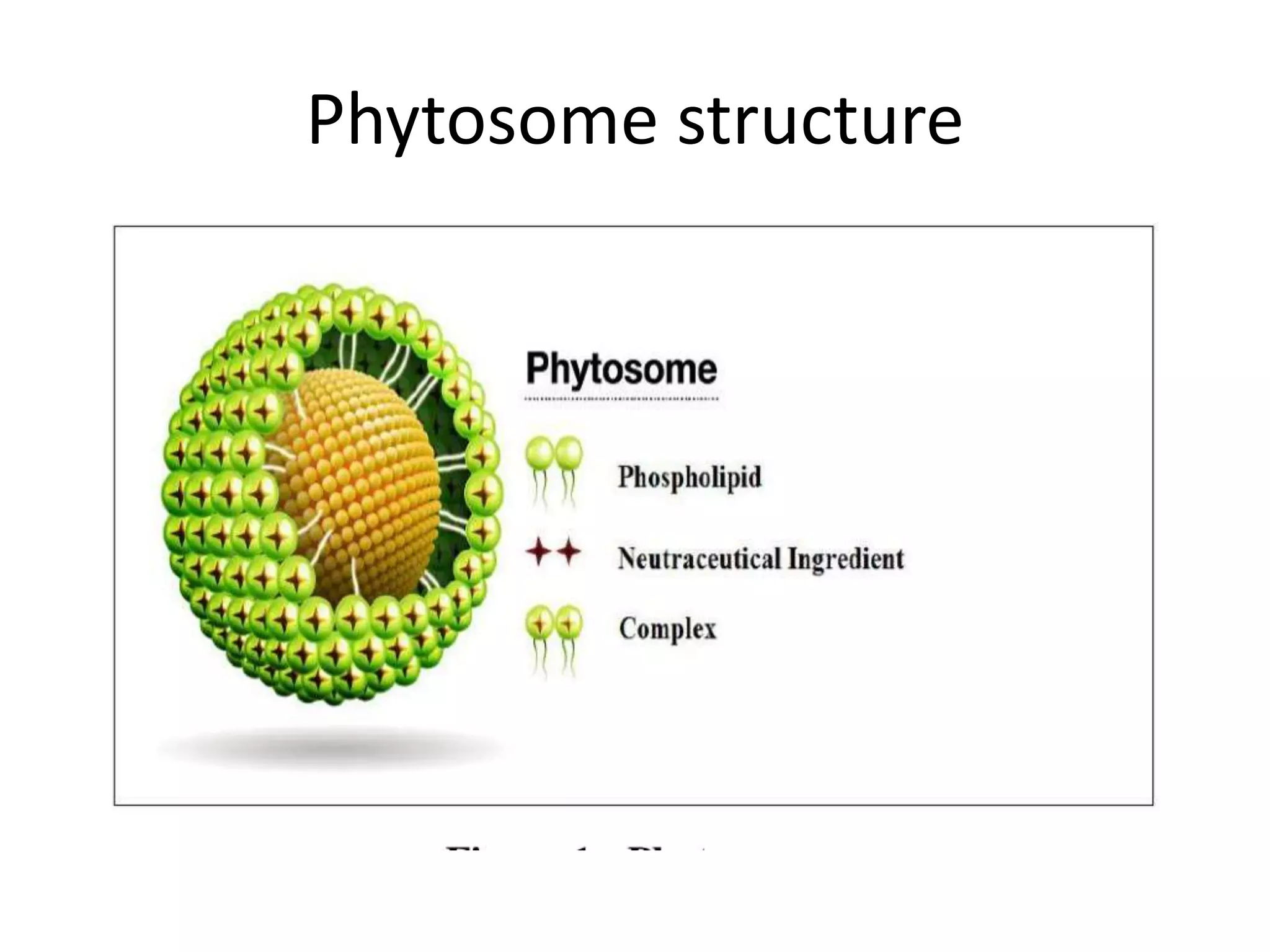 delivery technology presentations.pptx | Herbs and Supplements ...