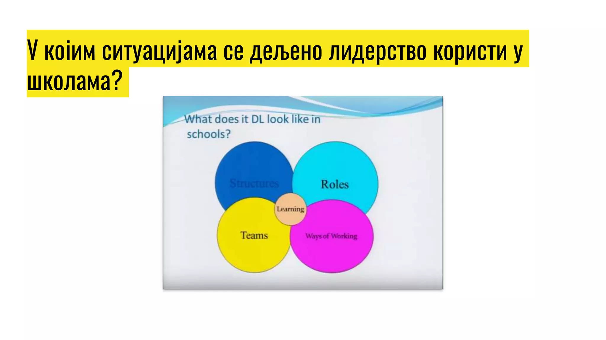 Deljeno liderstvo, seminar | PPTX