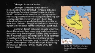Geologi Minyak dan Gas Bumi di Indonesia Bab 9 - RR. Koesoemadinata | PPTX