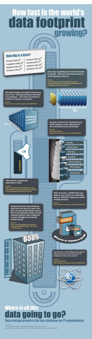 Dell Data Footprint Infographic | PDF