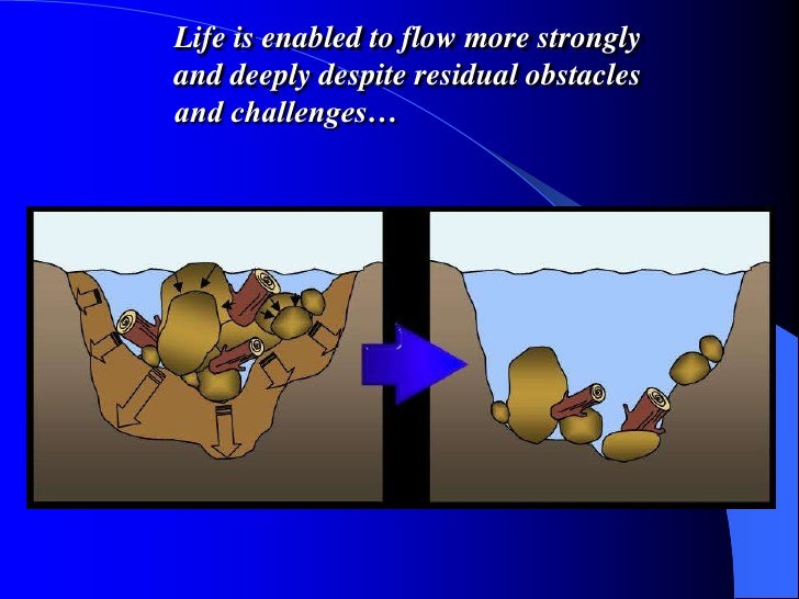 Introduction to the Kawa Model (Beki Dellow)