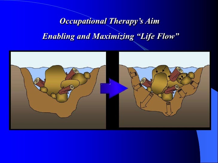 Introduction to the Kawa Model (Beki Dellow)