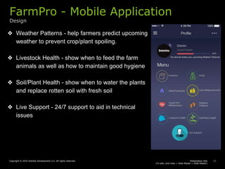Deloitte USDRD Case Competition 2017 | PPT