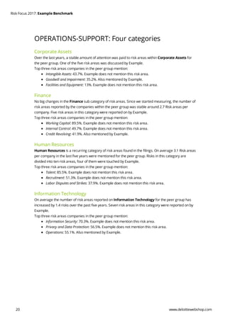 Deloitte webshop example Risk report benchmark company vs peers | PDF ...