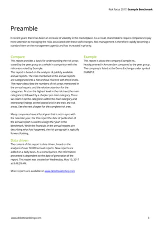Deloitte webshop example Risk report benchmark company vs peers | PDF ...