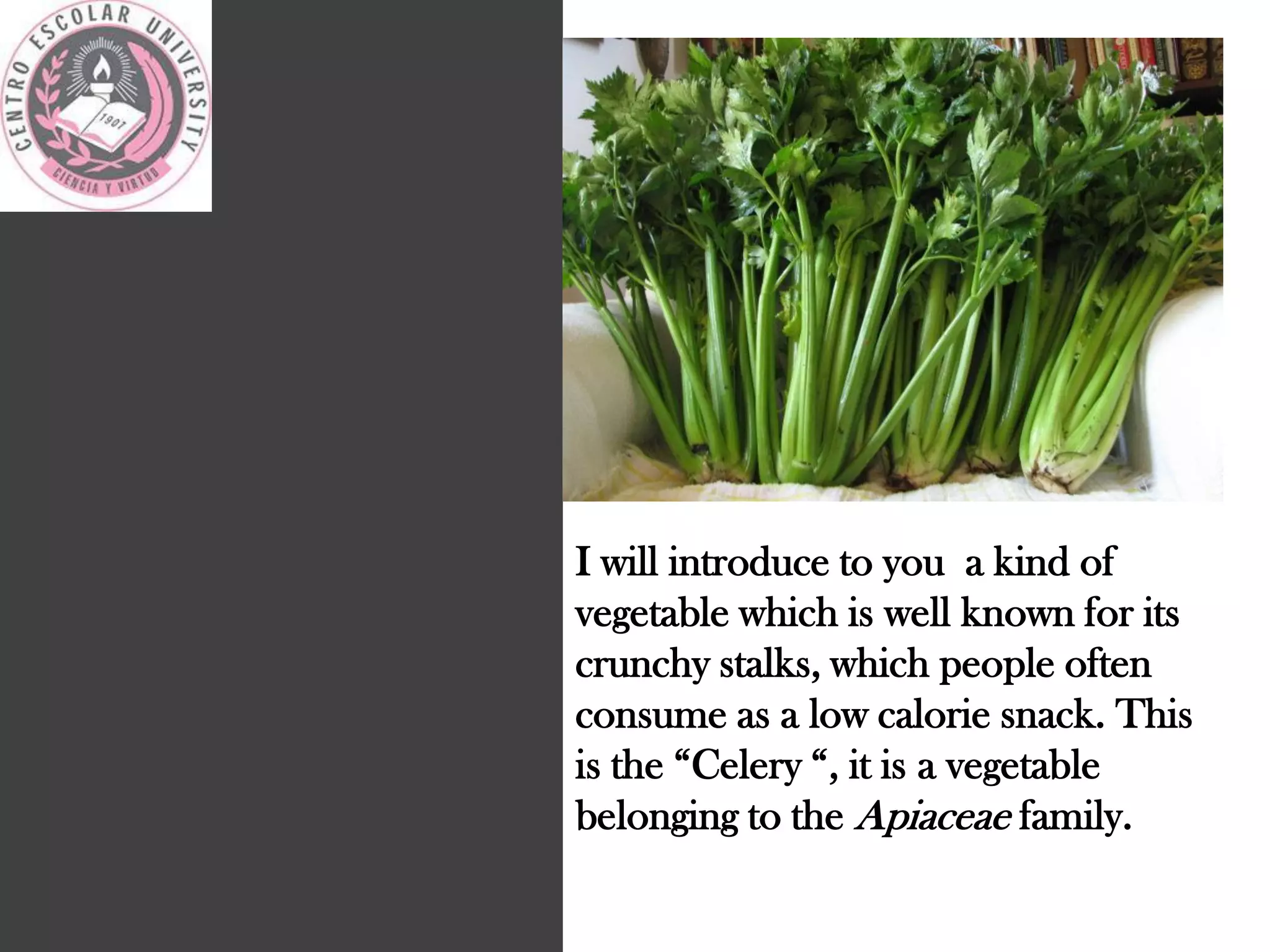 Celery PDF | PPT