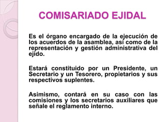 De los órganos del ejido | PPTX