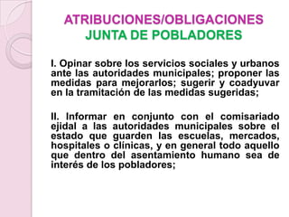 De los órganos del ejido | PPTX
