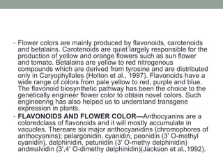 Delphinidin role in transgenic floriculture | PPTX