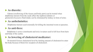 Delphinium ajacis | PPT