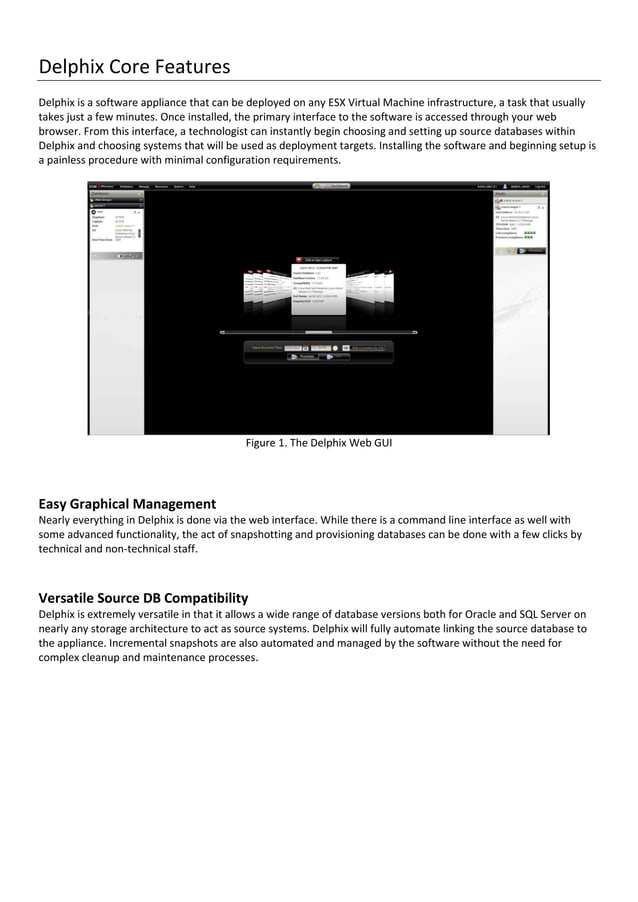 Delphix database virtualization v1.0 | PDF