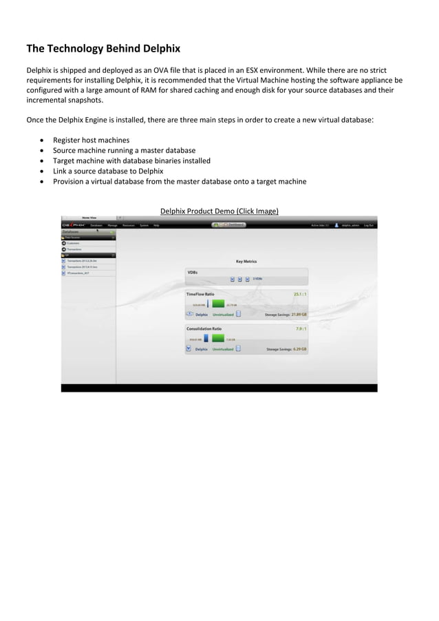 Delphix database virtualization v1.0 | PDF