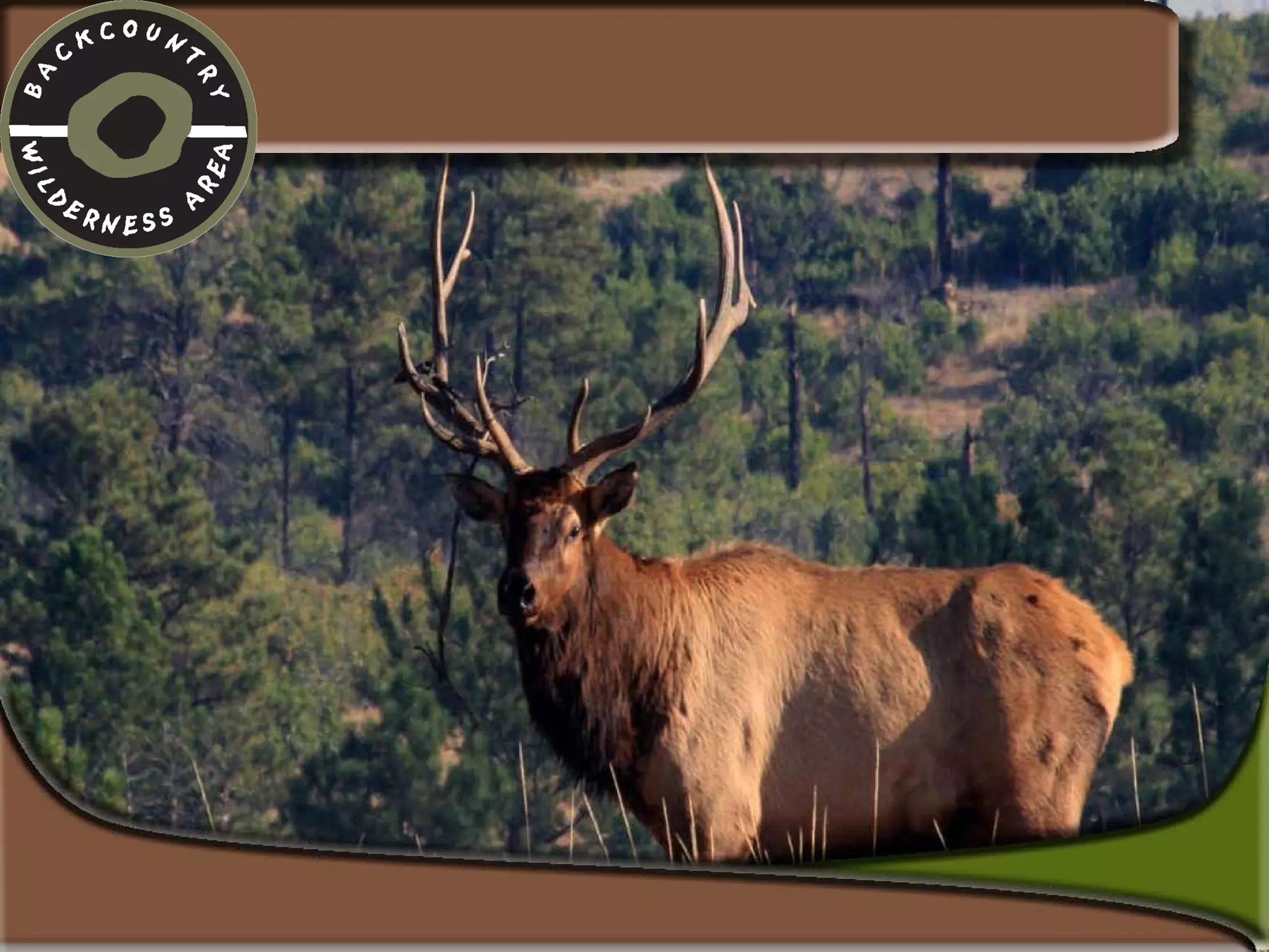 Backcountry Wilderness Area Presentation | PPT