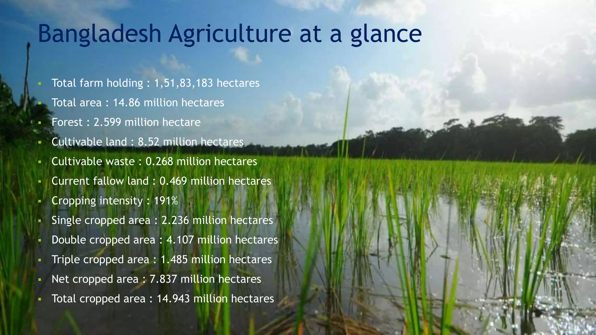 Agriculture in Bangladesh | PPTX