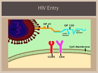 Analysis of Delta32 | PPT | Free Download