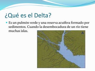 DELTA 6º A