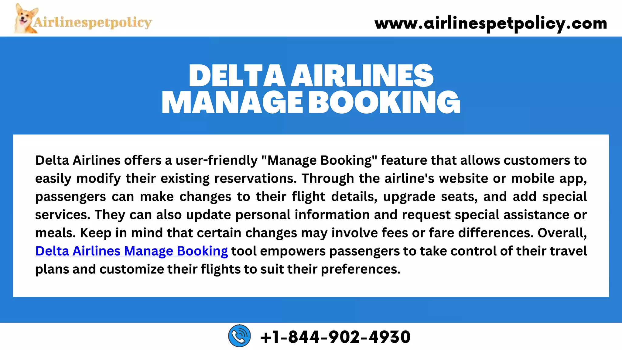 Delta Airlines Manage Booking & Process | PPT