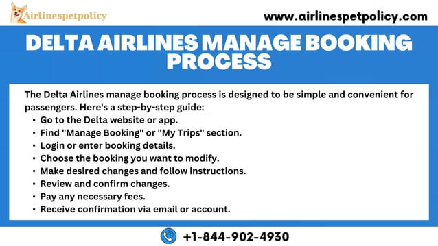 Delta Airlines Manage Booking & Process | PPT