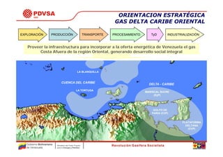Proyecto Gas Delta Caribe Oriental | PDF