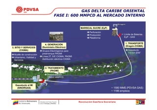 Proyecto Gas Delta Caribe Oriental | PDF