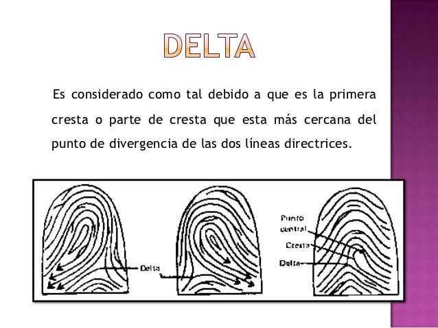DELTA DACTILOSCÓPICO